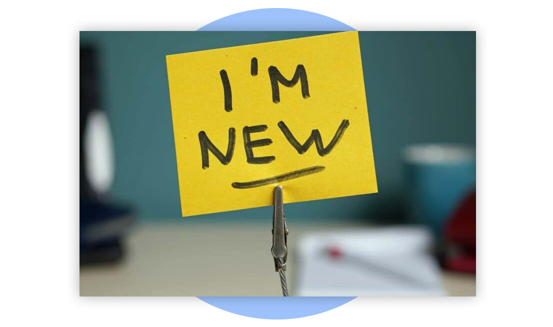 What’s New at Finli - Finli